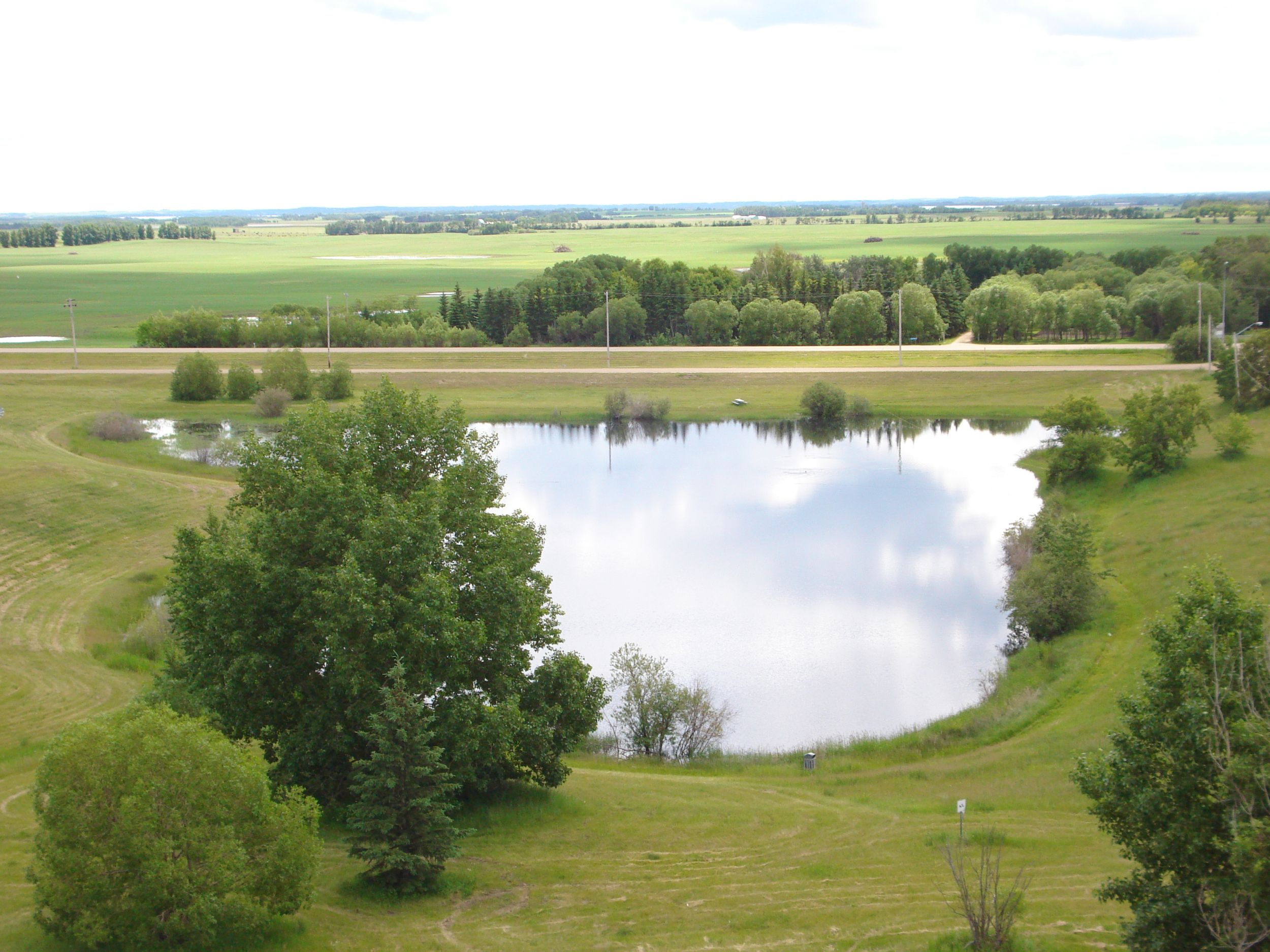 Fishing Pond | Trout Fishing | Town of Bashaw